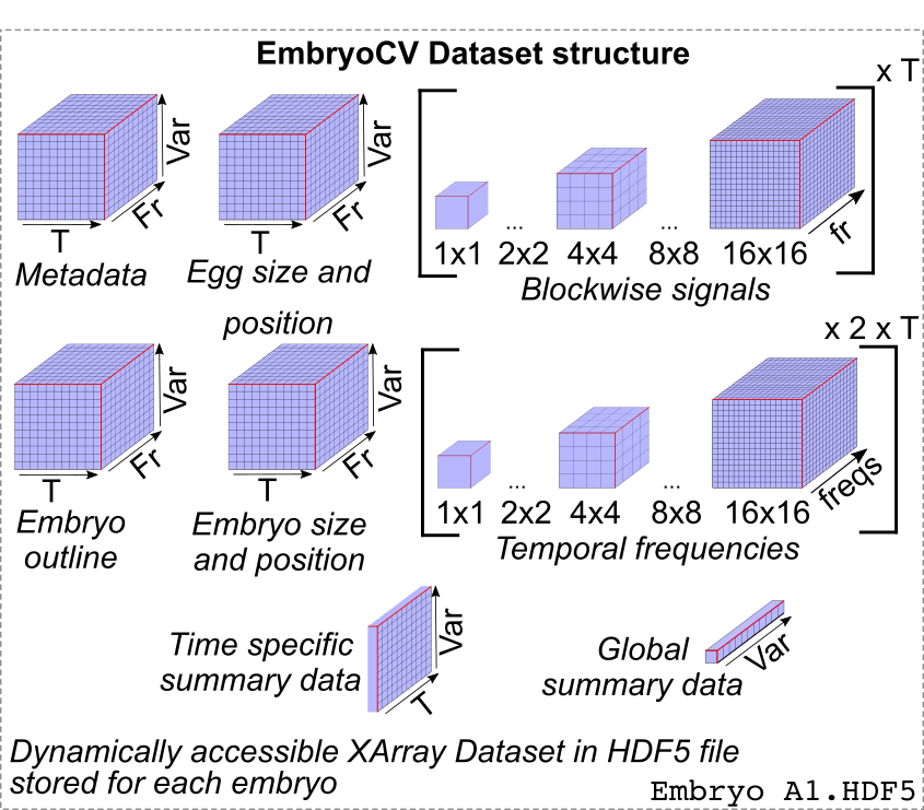 EmbryoCV”] | [“A Python package for quantifying embryonic development”]